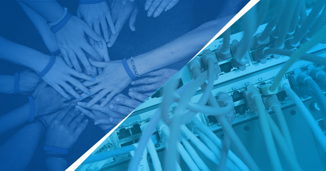 Ting or Allvoi: Which Wireless is More Beneficial for Consumer | Allvoi